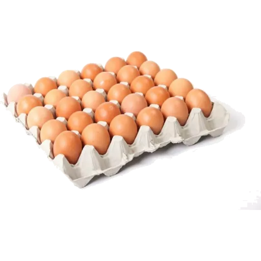 Free Range Eggs - Bulk Buy – Kelsey Lane Creamery